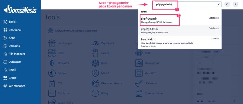 Panduan Cara Import PostgreSQL pada cPanel Hosting