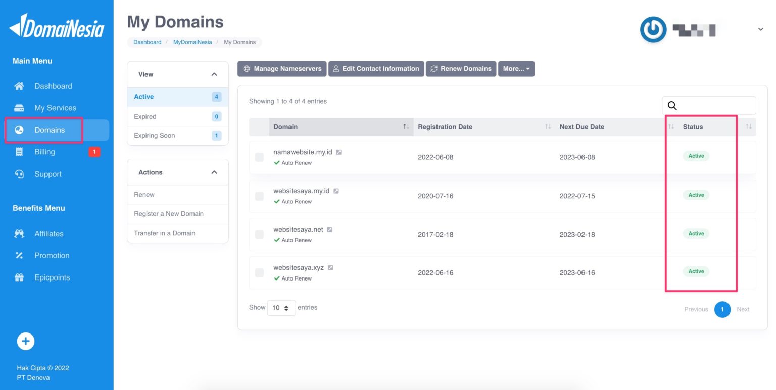 Panduan Status Domain DomaiNesia - DomaiNesia