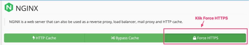 Cara Mengarahkan HTTPS Otomatis (Nginx Force HTTPS) - DomaiNesia