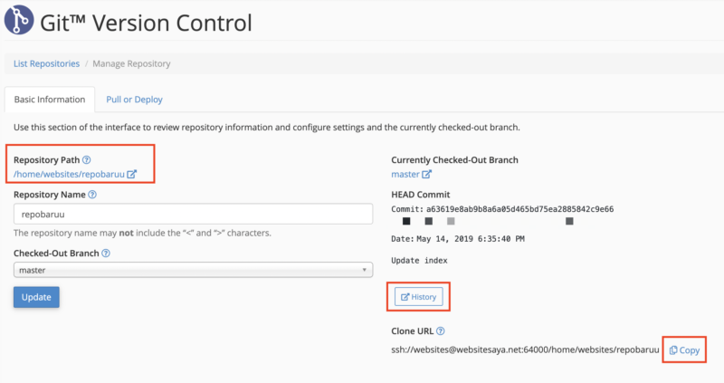 Cara Menggunakan GIT Version Control di cPanel - DomaiNesia