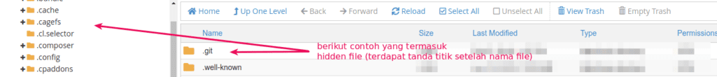 Cara Menampilkan Hidden File di Hosting - DomaiNesia