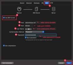 Cara Remote MySQL dengan Navicat - DomaiNesia