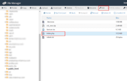 Cara Upload Codeigniter 4 ke Hosting - DomaiNesia