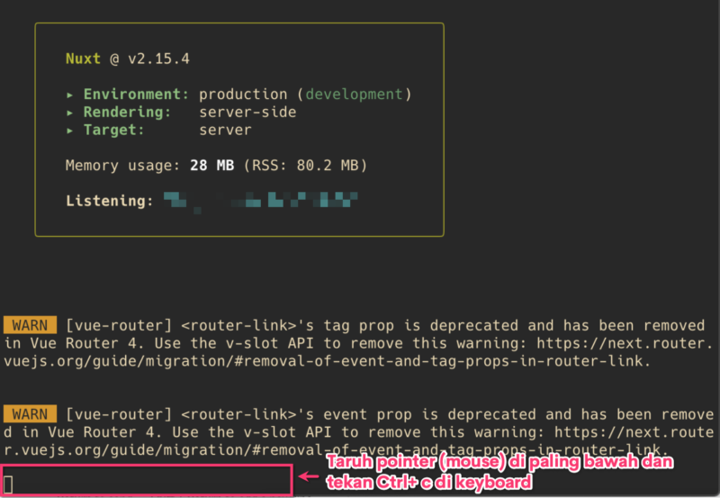 Cara Upload File Nuxt.js di Hosting - DomaiNesia