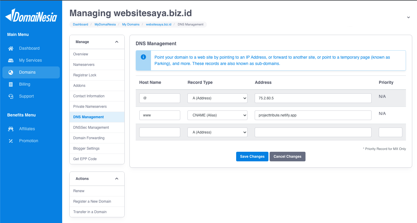 Cara Custom Domain ke Netlify - DomaiNesia