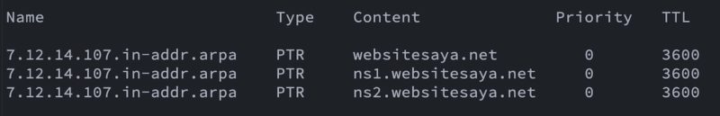 Cara Membuat Private Nameserver Melalui PowerDNS - DomaiNesia