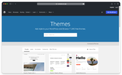 Apa Itu WordPress? Pengertian, Kelebihan dan Fungsinya!