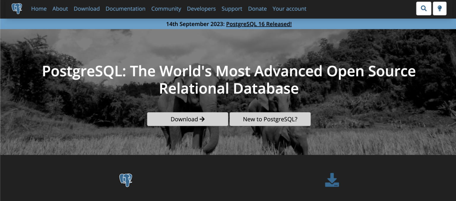 PostgreSQL adalah RDBMS Pilihan Developer, Yuk Kenalan!