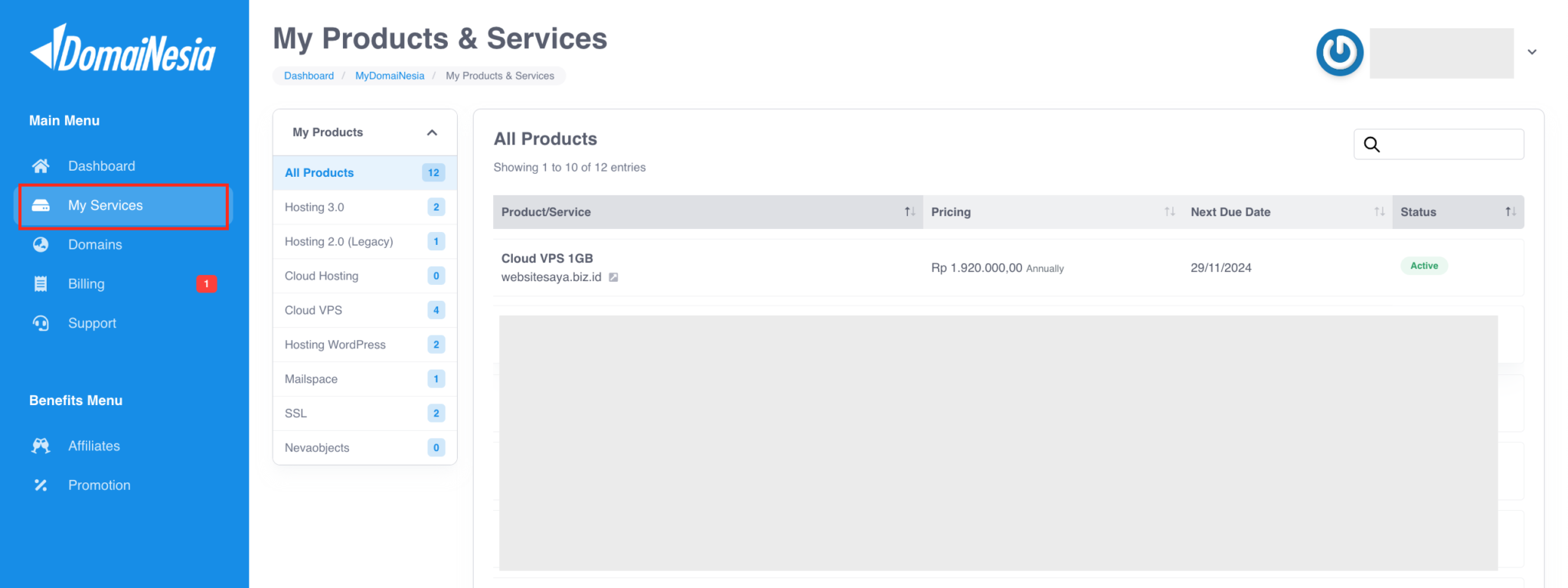 Cara Cek IP VPS Lengkap dan Mudah - DomaiNesia