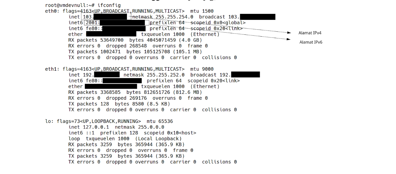Cara Cek IP VPS Lengkap dan Mudah - DomaiNesia