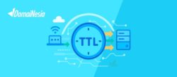 Mengenal Time to Live (TTL) dan Cara Kerjanya di DNS & Jaringan